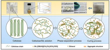 Rheological characteristics of novel cellulose/superbase-derived ionic ...