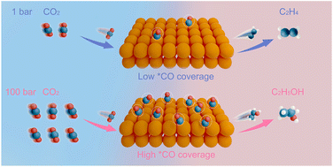 Enhanced electroreduction of CO2 to ethanol via enriched intermediates ...