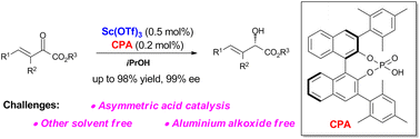 Enantioselective Meerwein–Ponndorf–Verley reduction of β,γ-unsaturated ...