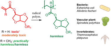 Ecotoxicity of isosorbide acrylate and methacrylate monomers and ...