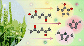 Linear diketones as next-generation biomass-derived platform molecules ...