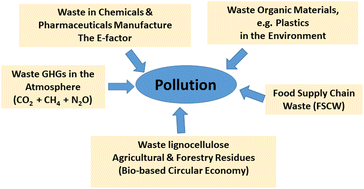 The E factor at 30: a passion for pollution prevention - Green ...