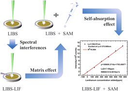 Determination of La in ore using laser-induced breakdown spectroscopy ...