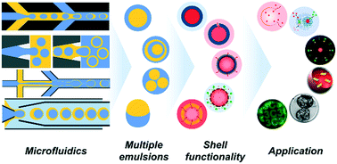 Recent advances in the microfluidic production of functional ...