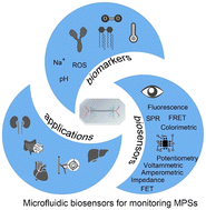 Integrated biosensors for monitoring microphysiological systems - Lab ...