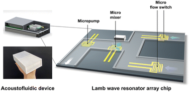 A self-contained acoustofluidic platform for biomarker detection - Lab ...