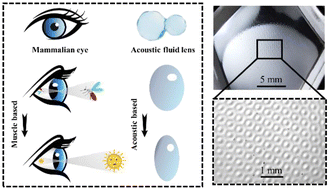 On-demand liquid microlens arrays by non-contact relocation of ...