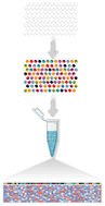 Recent advances in high-throughput single-cell transcriptomics and ...