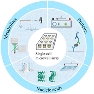 Microwell array chip-based single-cell analysis - Lab on a Chip (RSC ...