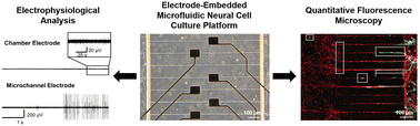 Influence of microchannel geometry on device performance and ...