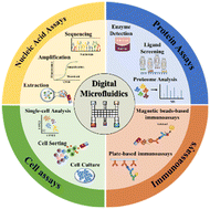 Digital microfluidics for biological analysis and applications - Lab on ...