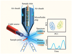 Detection of airborne pathogens with single photon counting and a real ...