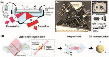 Portable light-sheet optofluidic microscopy for 3D fluorescence imaging ...