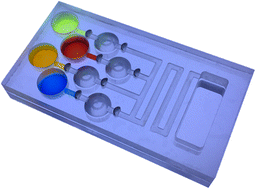 Microfluidic on-chip valve and pump for applications in immunoassays ...