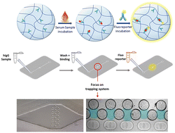 Hydrogel particles-on-chip (HyPoC): a fluorescence micro-sensor array ...