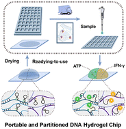 A portable and partitioned DNA hydrogel chip for multitarget detection ...