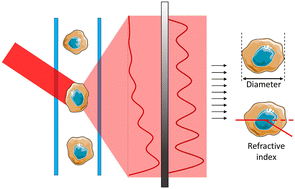 A low-cost, label-free microfluidic scanning flow cytometer for high ...