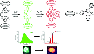 Tetra-coordinated boron-appended zinc(ii)-salen: a highly selective ...