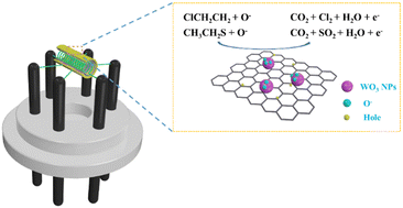 A 2-chloroethyl ethyl sulfide (2-CEES) gas sensor based on a WO3 ...