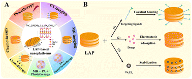 LAPONITE® nanodisk-based platforms for cancer diagnosis and therapy ...