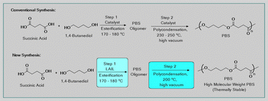 Novel hydrolytically stable Lewis acidic ionic liquid catalyst system for polybutylene succinate ...