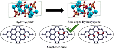 Zinc-doped hydroxyapatite and graphene oxide composites for bone and ...