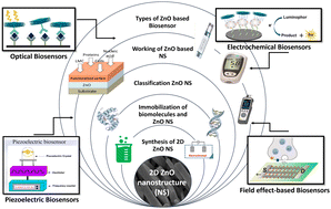 A review on 2D-ZnO nanostructure based biosensors: from materials to ...