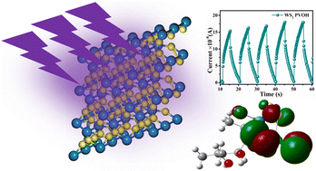 Photocurrent conversion capability of a 2D WS2-polyvinyl alcohol matrix ...