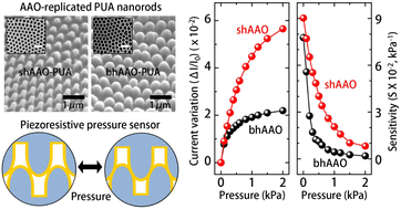 Synergistic control of engineered nanostructures toward sensitivity and ...