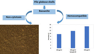 Biomedical competency of bassanite (plaster of Paris) synthesized from ...