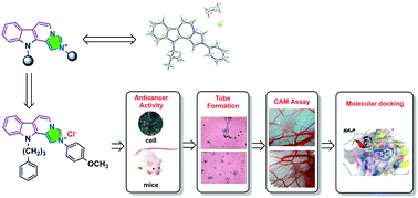 New β-carboline derivatives containing imidazolium as potential VEGFR2 ...
