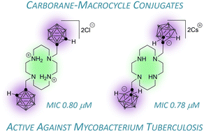 Carborane clusters increase the potency of bis-substituted cyclam ...