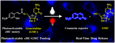 Visible and NIR light photoactivatable o-hydroxycinnamate system for ...