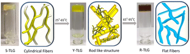 Heat triggered molecular restructuring results in triple gel–gel–gel ...