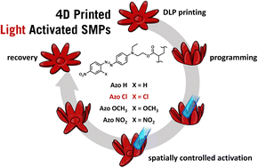 4D printing of light activated shape memory polymers with organic dyes - Molecular Systems ...