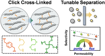 Tailoring 6FDA-based click cross-linked membranes: modular synthesis ...