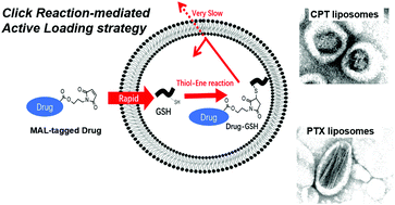 Remote drug loading into liposomes via click reaction - Materials ...