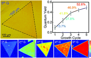 Defect-suppressed submillimeter-scale WS2 single crystals with high ...