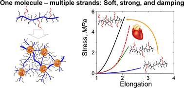 Super-soft, firm, and strong elastomers toward replication of tissue ...