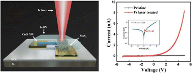 High performance 1D–2D CuO/MoS2 photodetectors enhanced by femtosecond ...