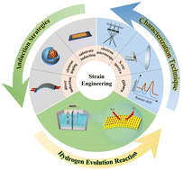 Strain engineering of electrocatalysts for hydrogen evolution reaction ...