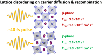 Lattice disorder influences the photocarrier dynamics in lead halide ...