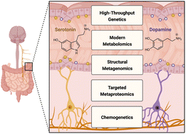Multi-omic analysis of host-microbial interactions central to the gut ...