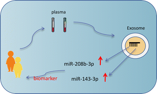 Plasma extracellular vesicles microRNA-208b-3p and microRNA-143-3p as ...