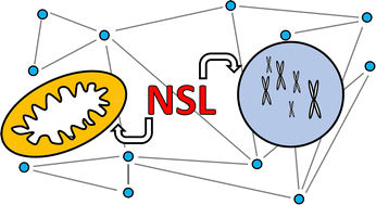 Protein network analysis links the NSL complex to Parkinson’s disease ...