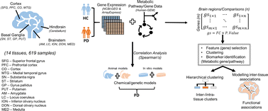 Brain-wide transcriptome-based metabolic alterations in Parkinson's ...