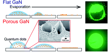 Self-assembled single-crystal bimodal porous GaN exhibiting a petal ...