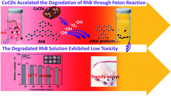 Copper-doped carbon dots with enhanced Fenton reaction activity for ...