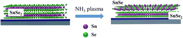 Formation of a vertical SnSe/SnSe2 p–n heterojunction by NH3 plasma ...