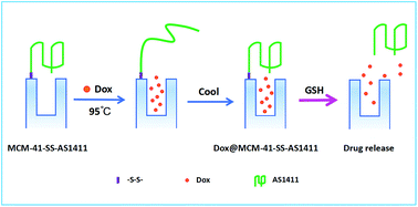 Construction of a redox-responsive drug delivery system utilizing the ...